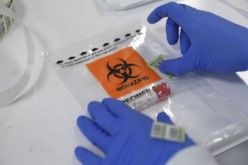 Man who predicted Covid-19 reveals source of next pandemic - and it ...