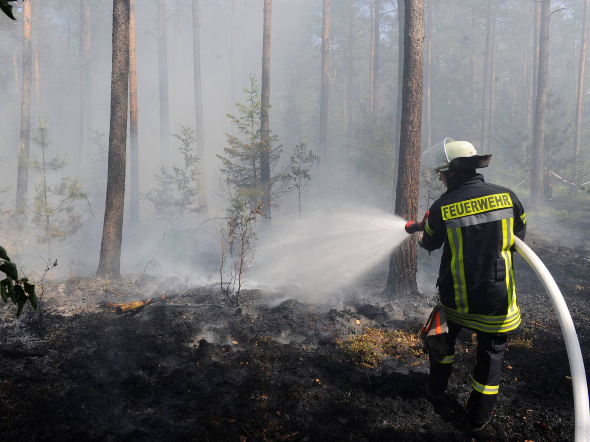 Waldbrände: Hohe Temperaturen lassen Gefahr steigen
