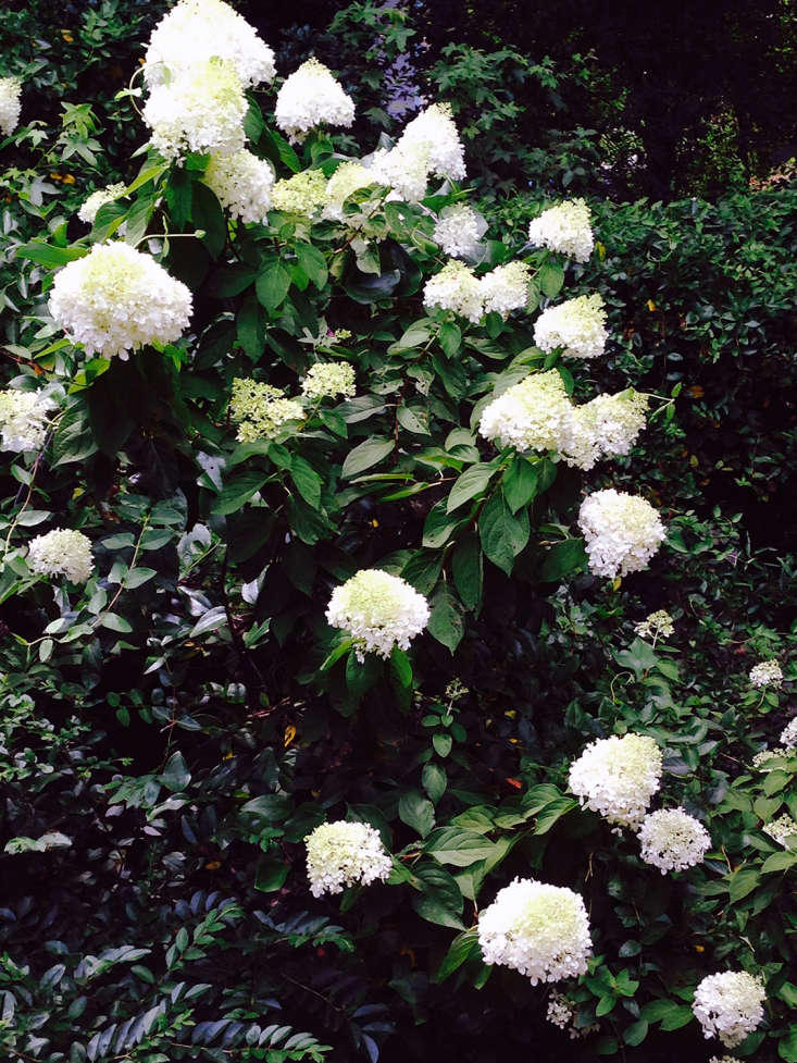 Prospect & Refuge: In Praise of Cozy Garden Nooks (Plus, How to Create ...