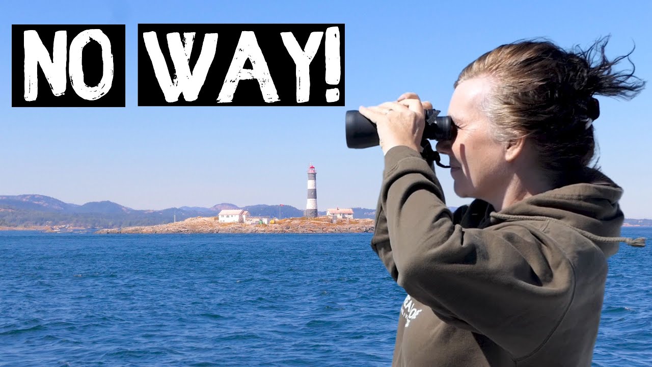 Vancouver Island van life - never seen this before!