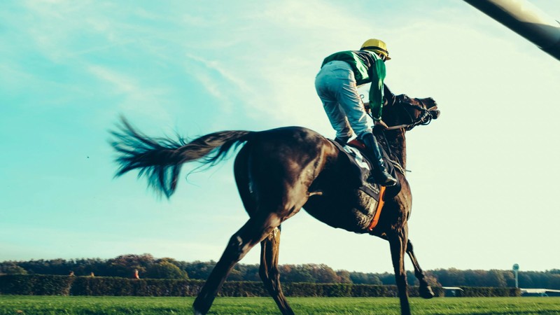 10bet South Africa’s exciting horse racing offering – Saddle up and ...