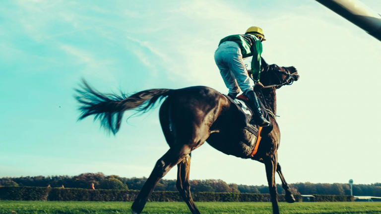 10bet South Africa’s exciting horse racing offering – Saddle up and ...