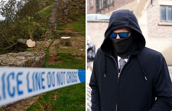 Sycamore Gap: 'Moronic' pair in court as bombshell video of tree played out