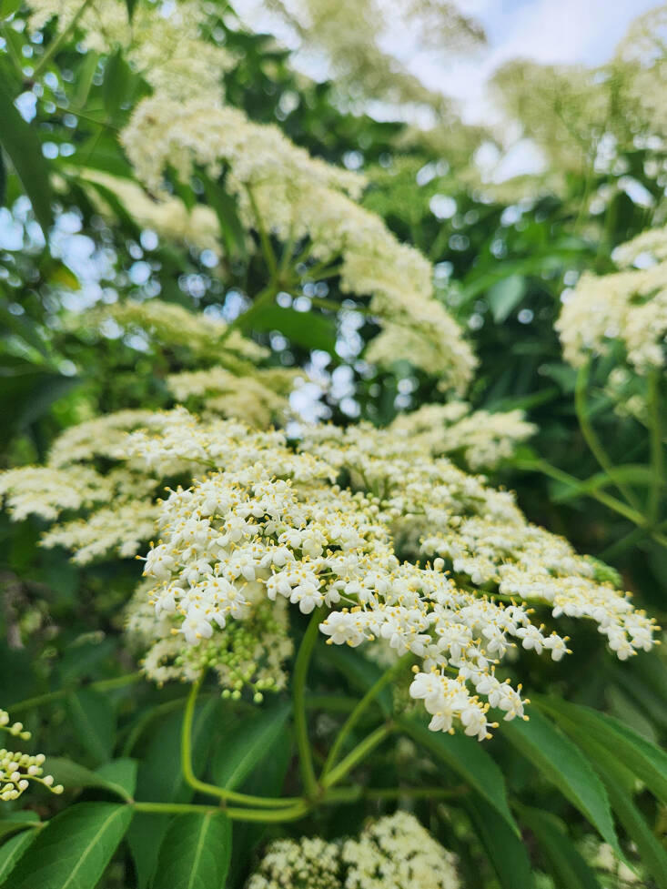 Prospect & Refuge: In Praise of Cozy Garden Nooks (Plus, How to Create ...