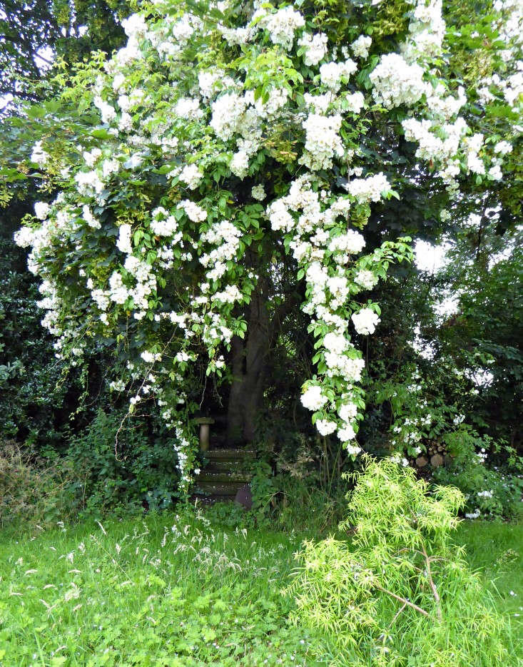 Prospect & Refuge: In Praise of Cozy Garden Nooks (Plus, How to Create ...