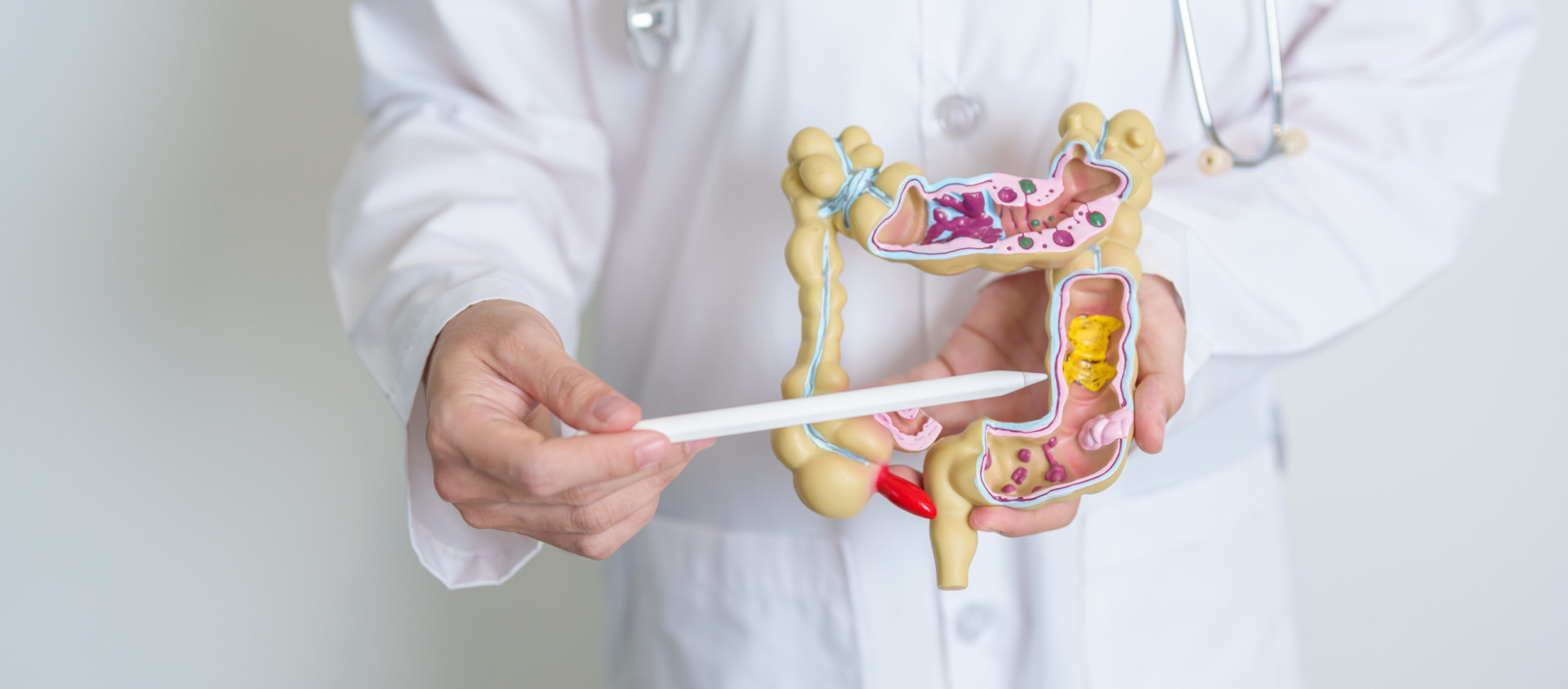 The best foods to improve your digestion
