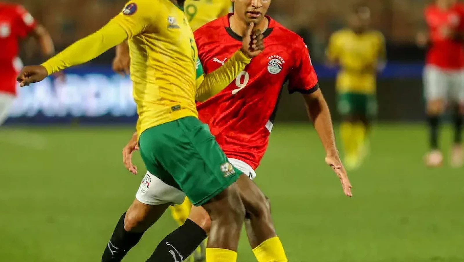 Injury blow for Amajita as captain Asekho Tiwani heads home