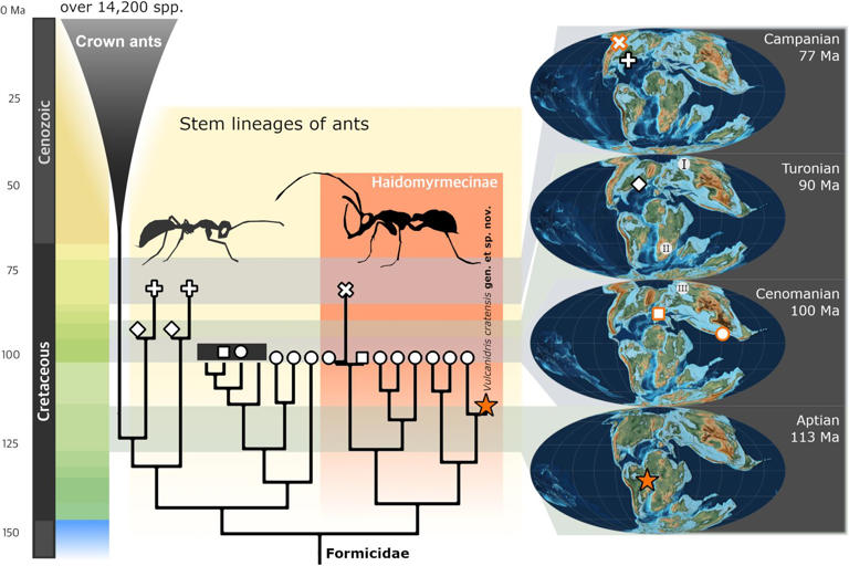 Discovery of a 113-million-year-old "hell ant" 🐜