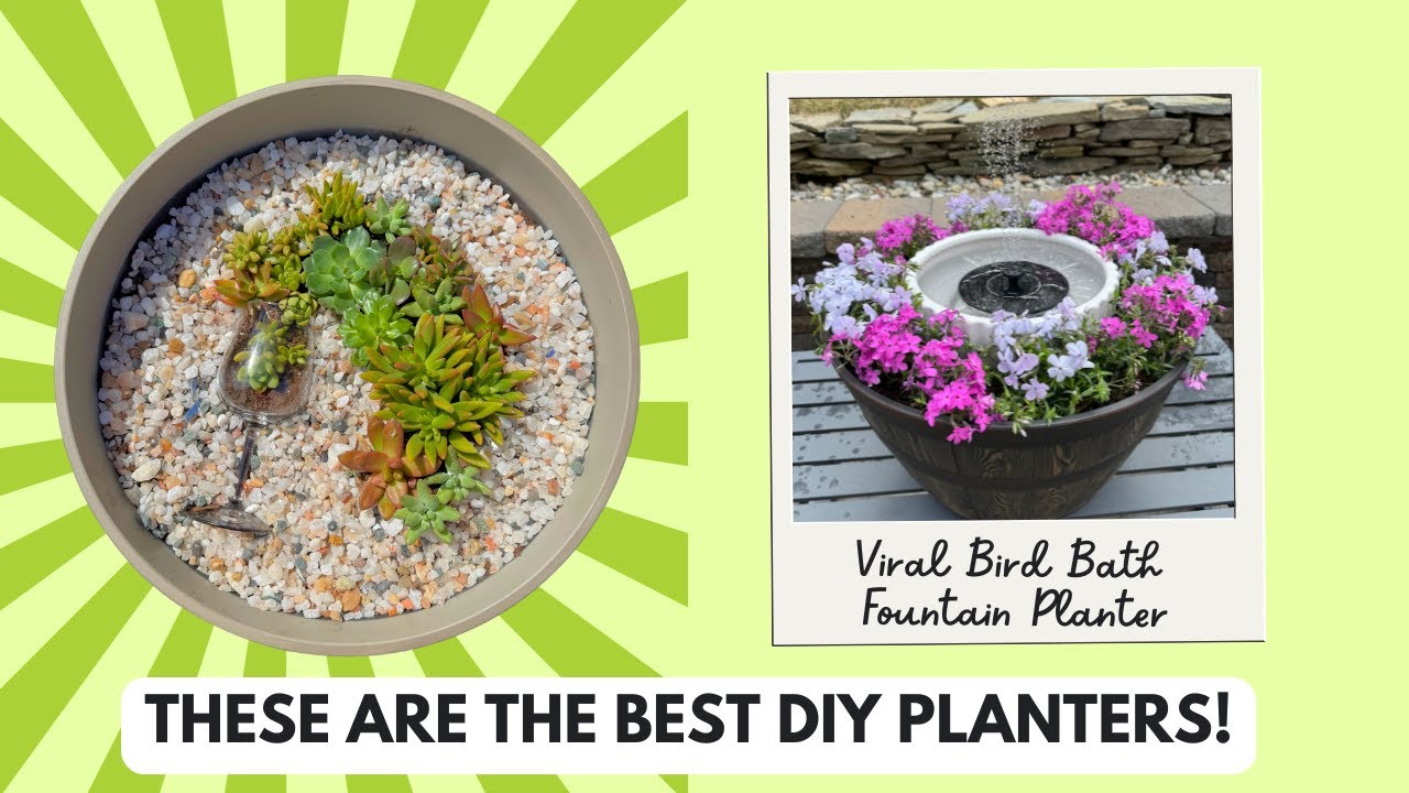 3 Viral Planter Ideas to Elevate Your Backyard! 🌿