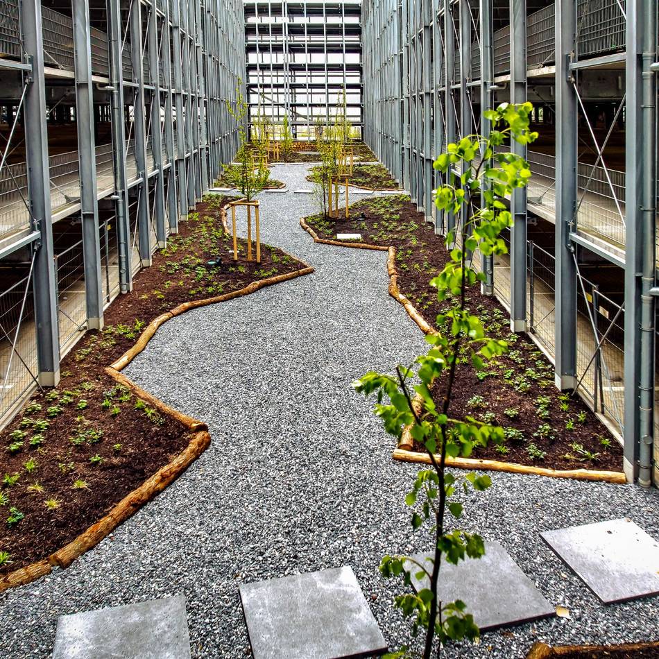 Atrium in Monheimer Parkhaus K714 wird zur grünen Oase