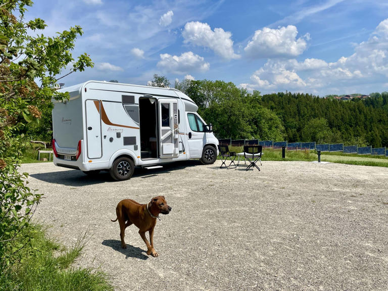 Camping in der Natur: 9 schöne kleine Stellplätze in Deutschland