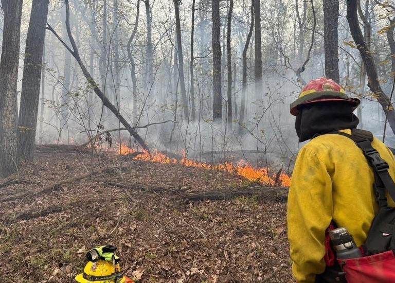 Firefighters across Cumberland Valley join battles against Michaux ...