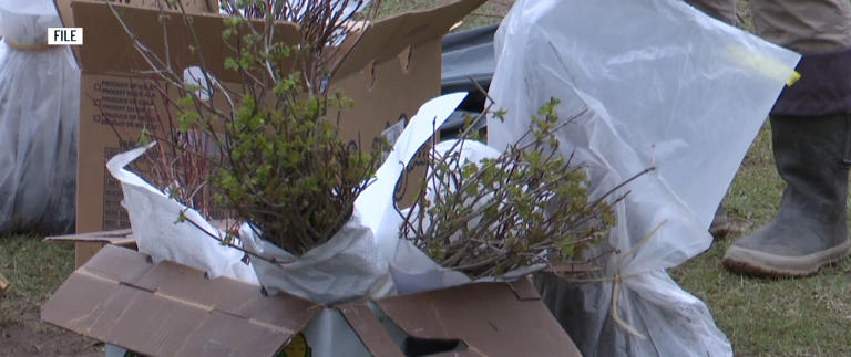 Marquette County Conservation District to hold native tree sale this ...