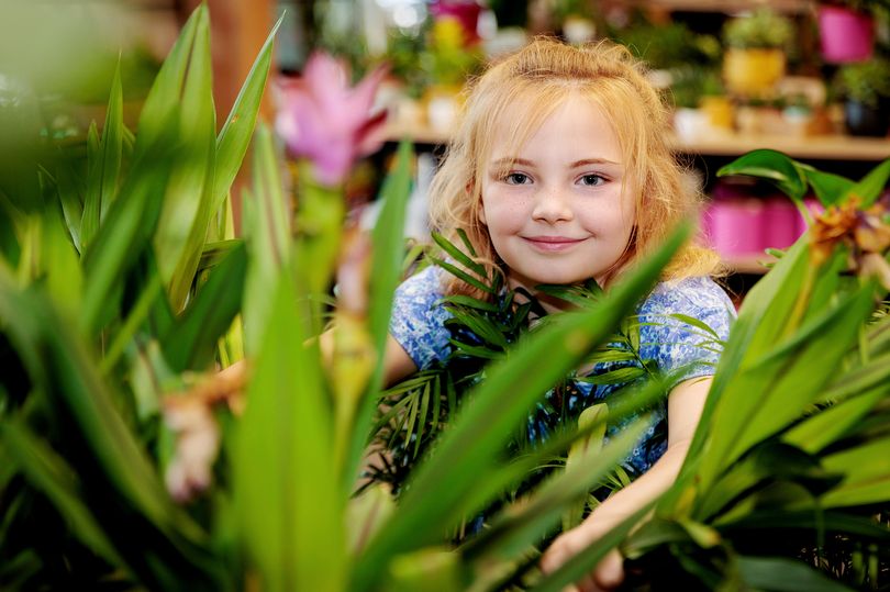 Free children’s Glorious Grass gardening workshop at Dobbies’ Sandyholm ...
