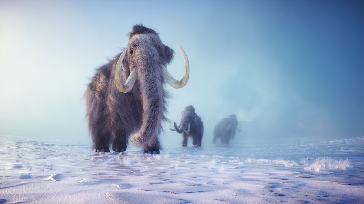 Mammoth DNA Is Showing How These Ice Age Giants Evolved Over Past 1 ...