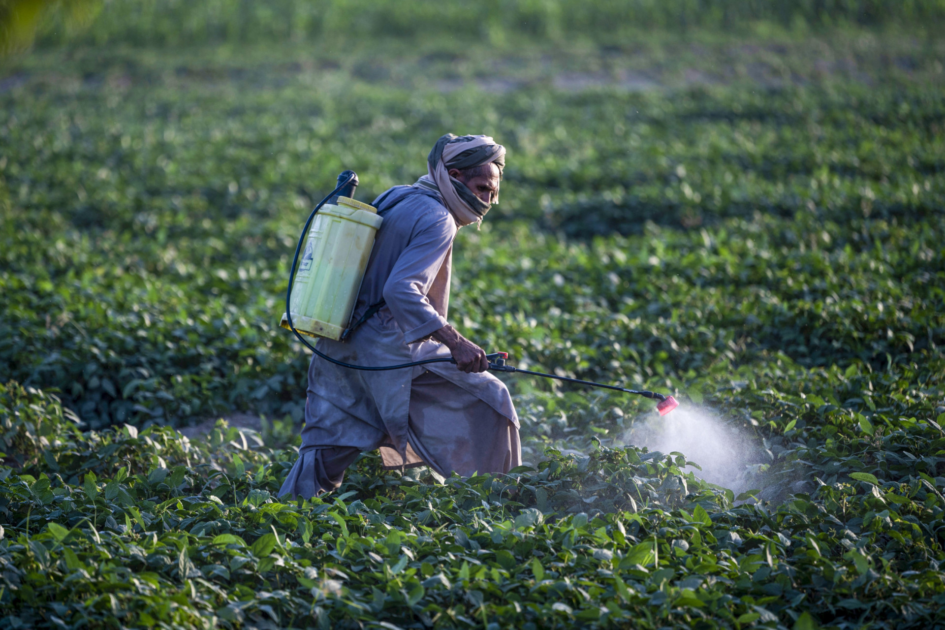 Safe or Toxic: Demystifying chemical exposure