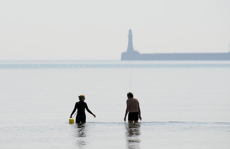 From taking a dip to chippy queues - a round up of life in Sunderland ...