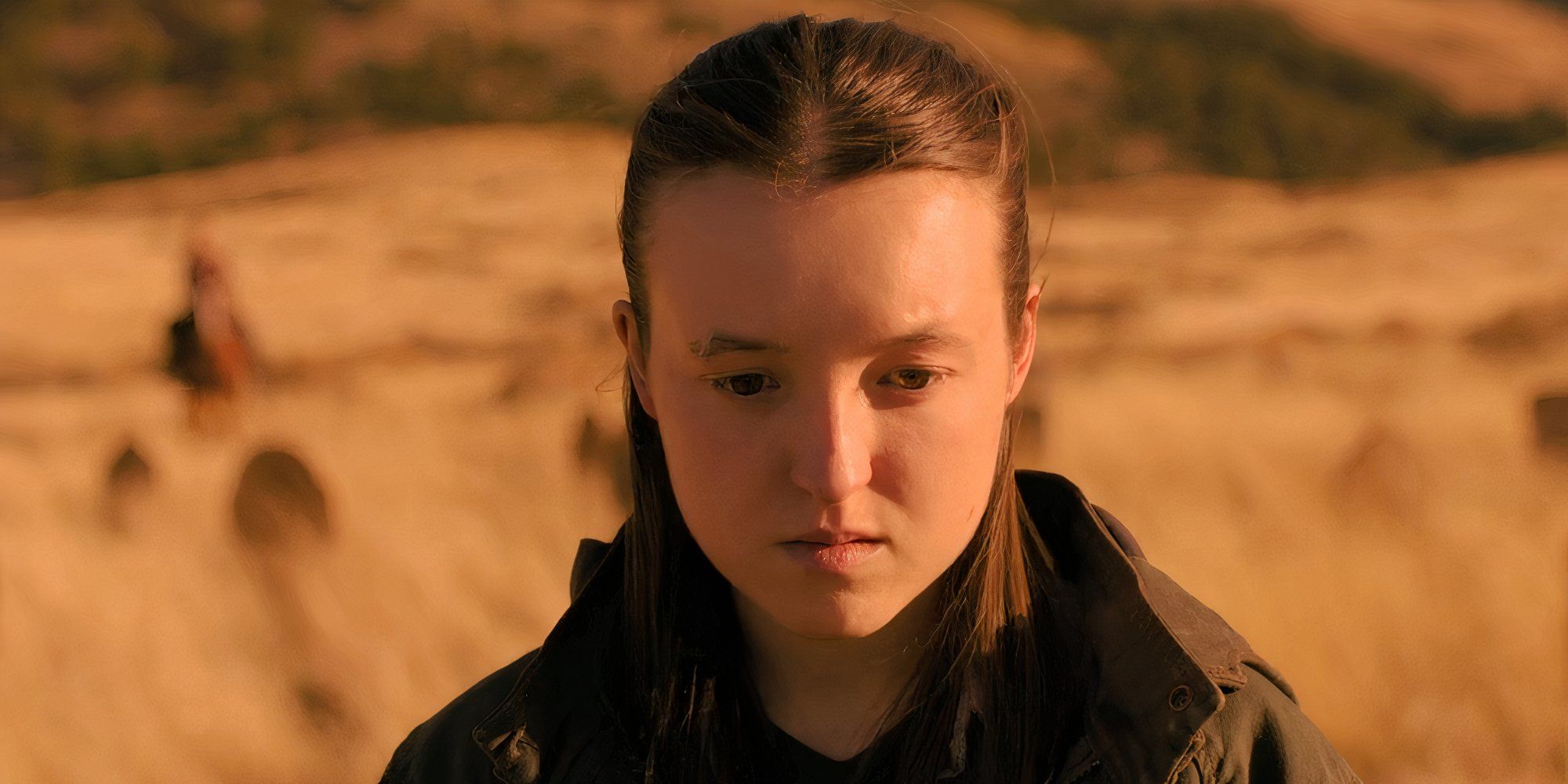 "This Is A Chance For All Of Us To Say Goodbye": The Last Of Us S2 E3's ...