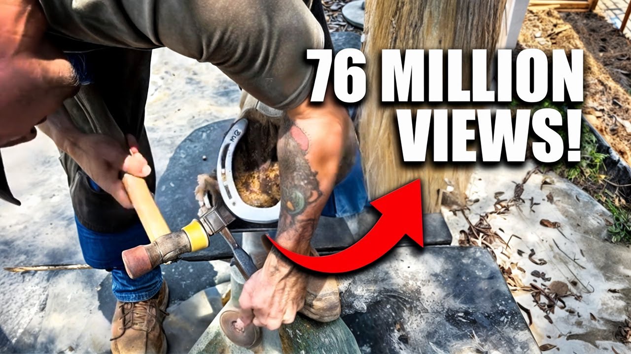 Mastering Hoof Trimming: A Farrier's ASMR Compilation