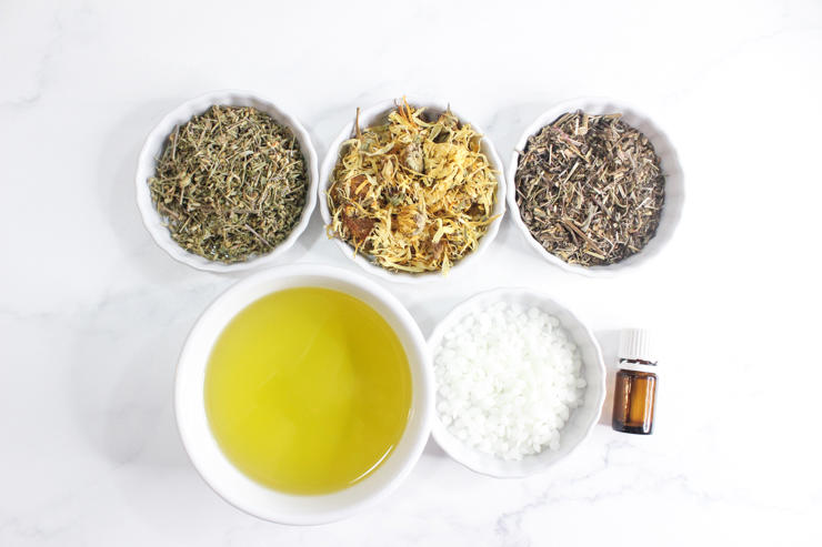 Homemade Bee Balm Tea