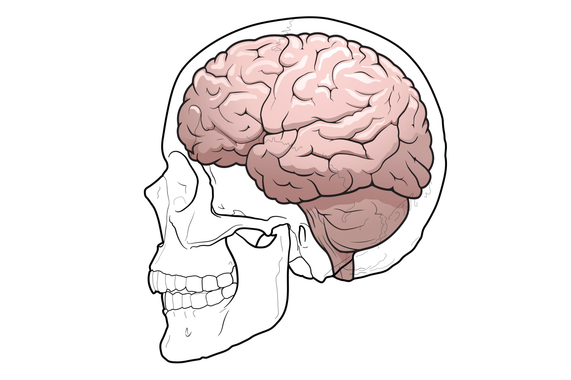 How your brain changes when you outsource it to AI