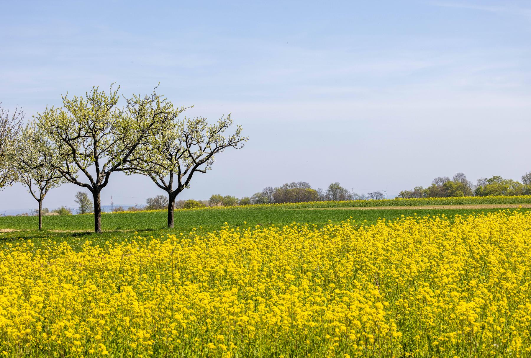 Heuriger April war sehr warm