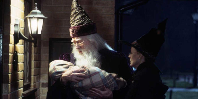 The Harry Potter Remake's Dumbledore Can Solve A 28-Year-Old Sorcerer's ...