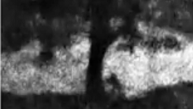 Grainy phone footage shows moment Sycamore Gap tree chopped down