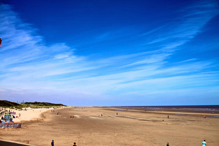 Coastal paradise: 8 must-visit beaches for gorgeous day trips from ...