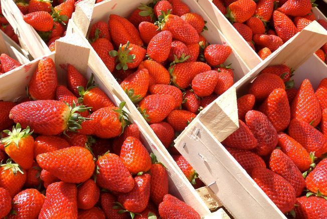 C’est la saison des fraises : Comment bien les choisir et quelles ...