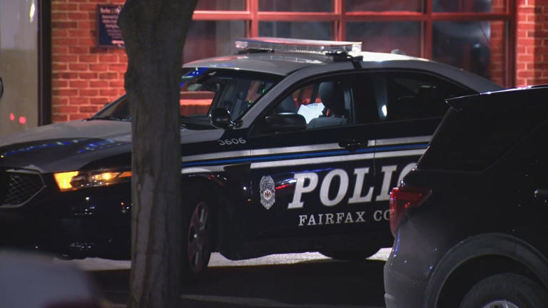 2 adults dead, 2 kids hurt after car crash in Oakton area of Fairfax County