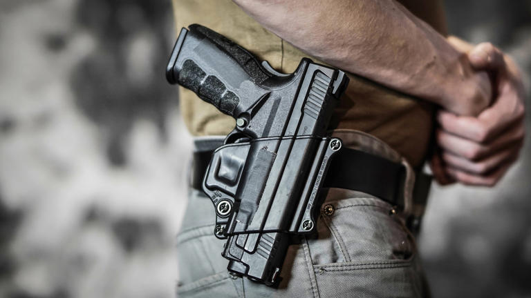 The open-carry ruling dropped — and the internet proved it argues ...