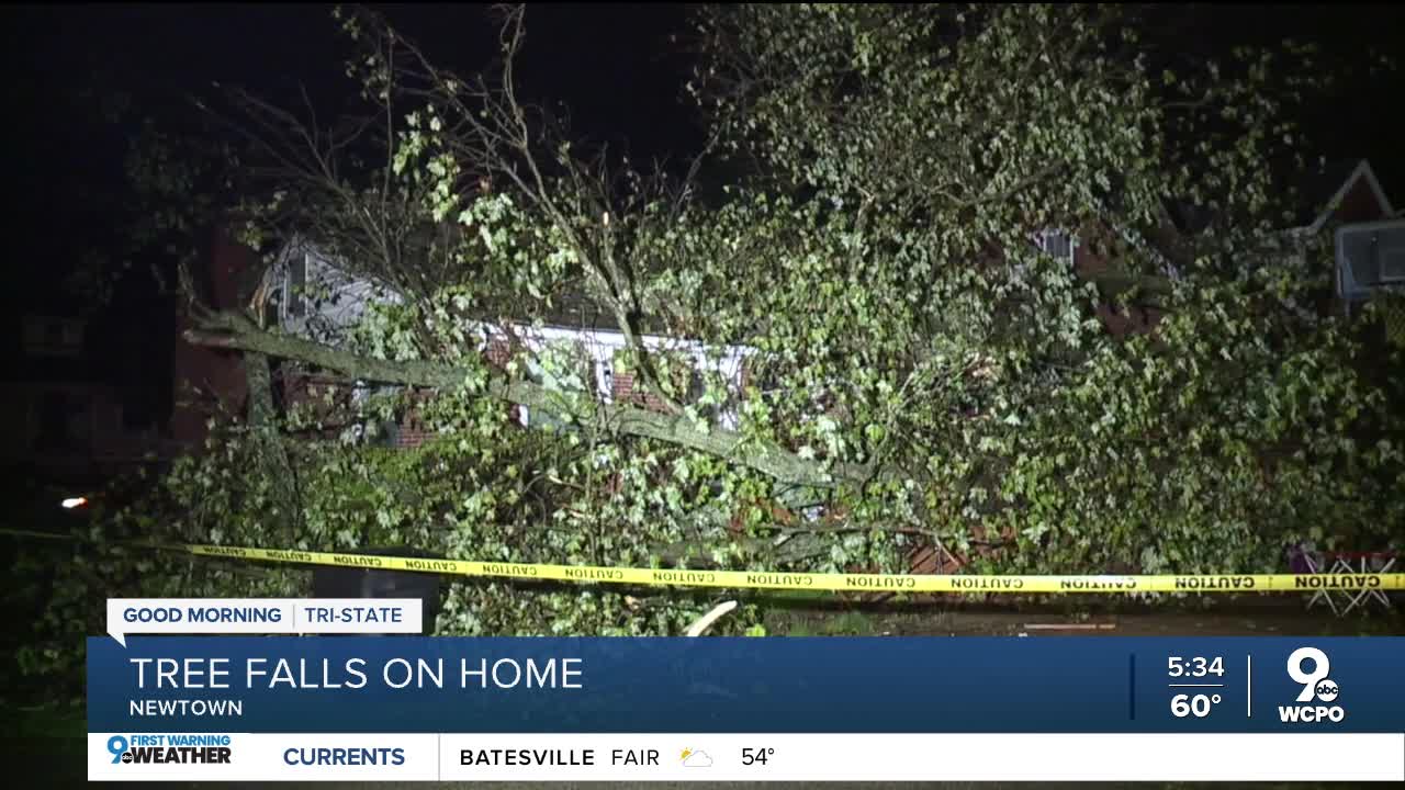 Homeowner displaced after tree falls on Newtown home during Tuesday's ...