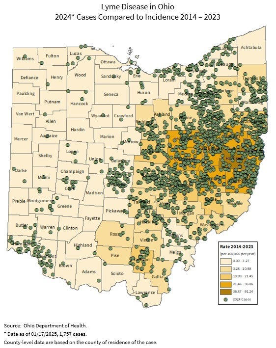 Tick season is here. Why ticks are becoming more common across Ohio?