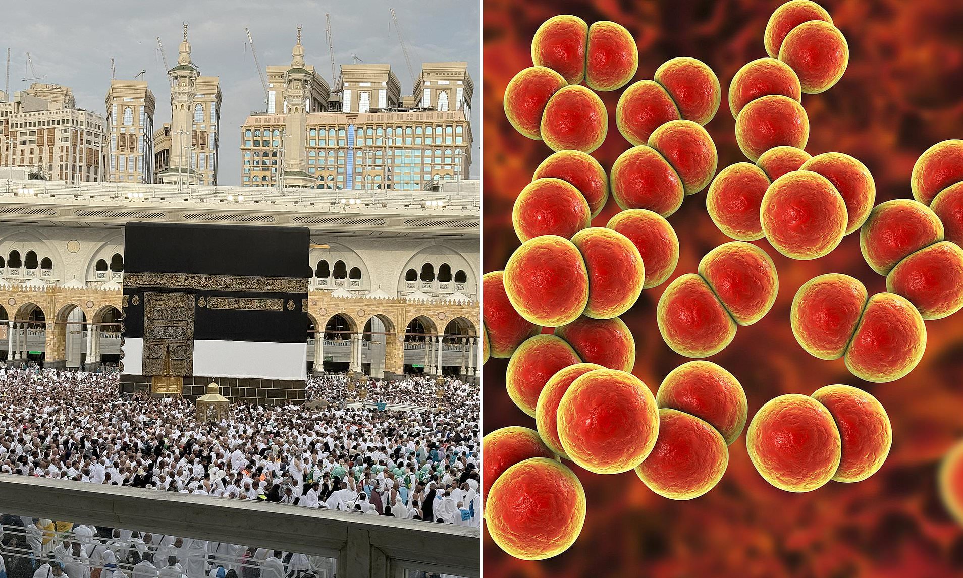 Alert over flu-like disease that kills in ONE DAY landing on UK shores ...