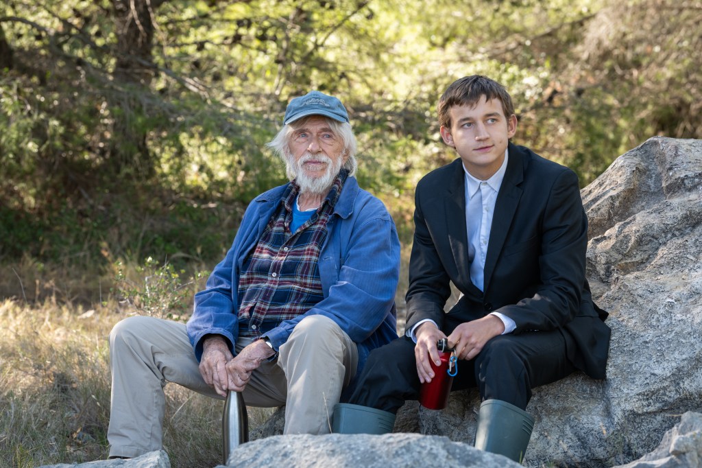 French Comedian Pierre Richard's Directorial Comeback ‘The Man Who Saw ...