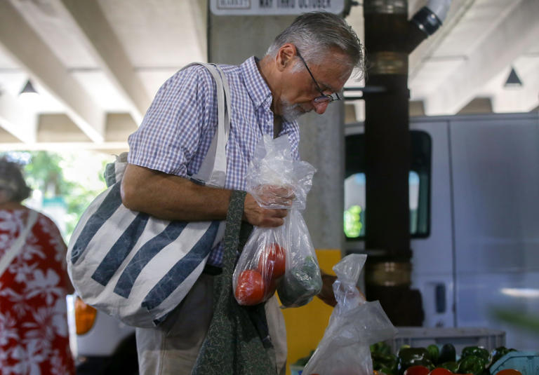 5 things to do in Iowa City this weekend, from the Farmers' Market to ...