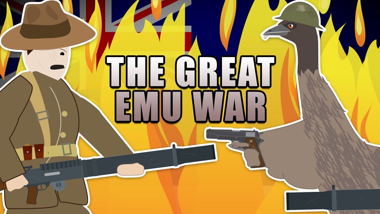 The Emu War of 1932 – A Real Military Operation Against Birds