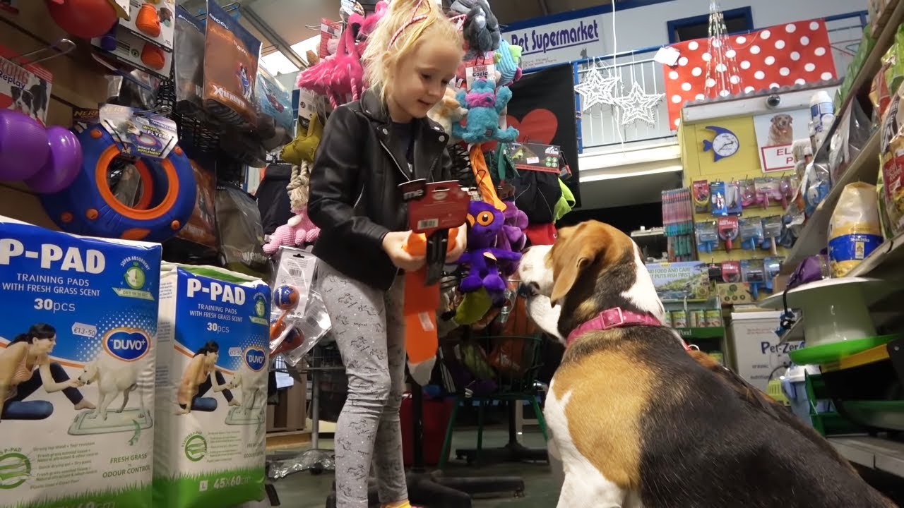 Musical Beagle—Our Dog Playing Keyboard Makes Newborn Baby Cry