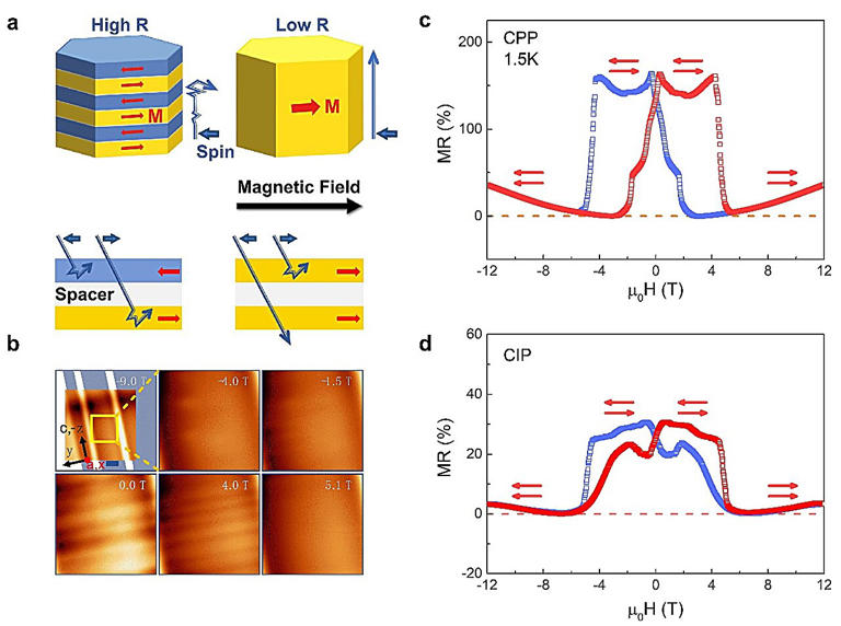 Kagome quantum magnets achieve spin-valve effects without complex ...
