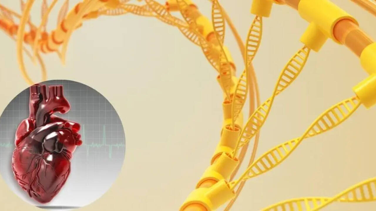 Is Heart Disease Hereditary? What You Should Know About Genetics And ...