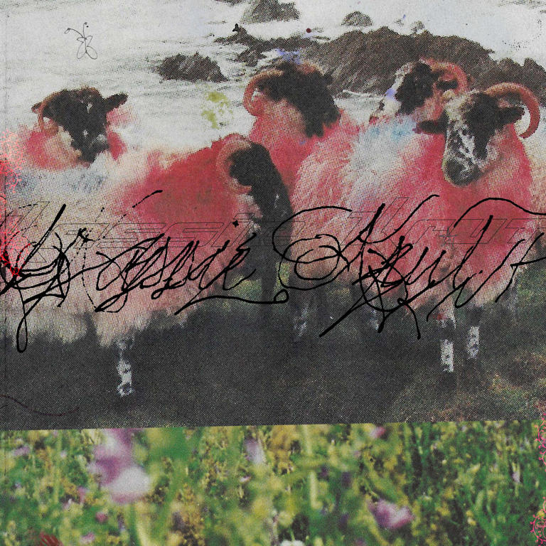 Kassie Krut Announce Expanded EP, Share Panda Bear Remix of “Hooh Beat ...