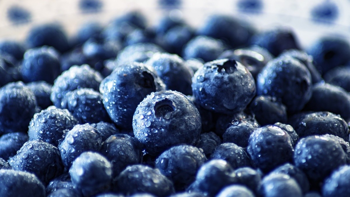 Berry Good for You: What Happens to Your Body If You Eat Blueberries ...