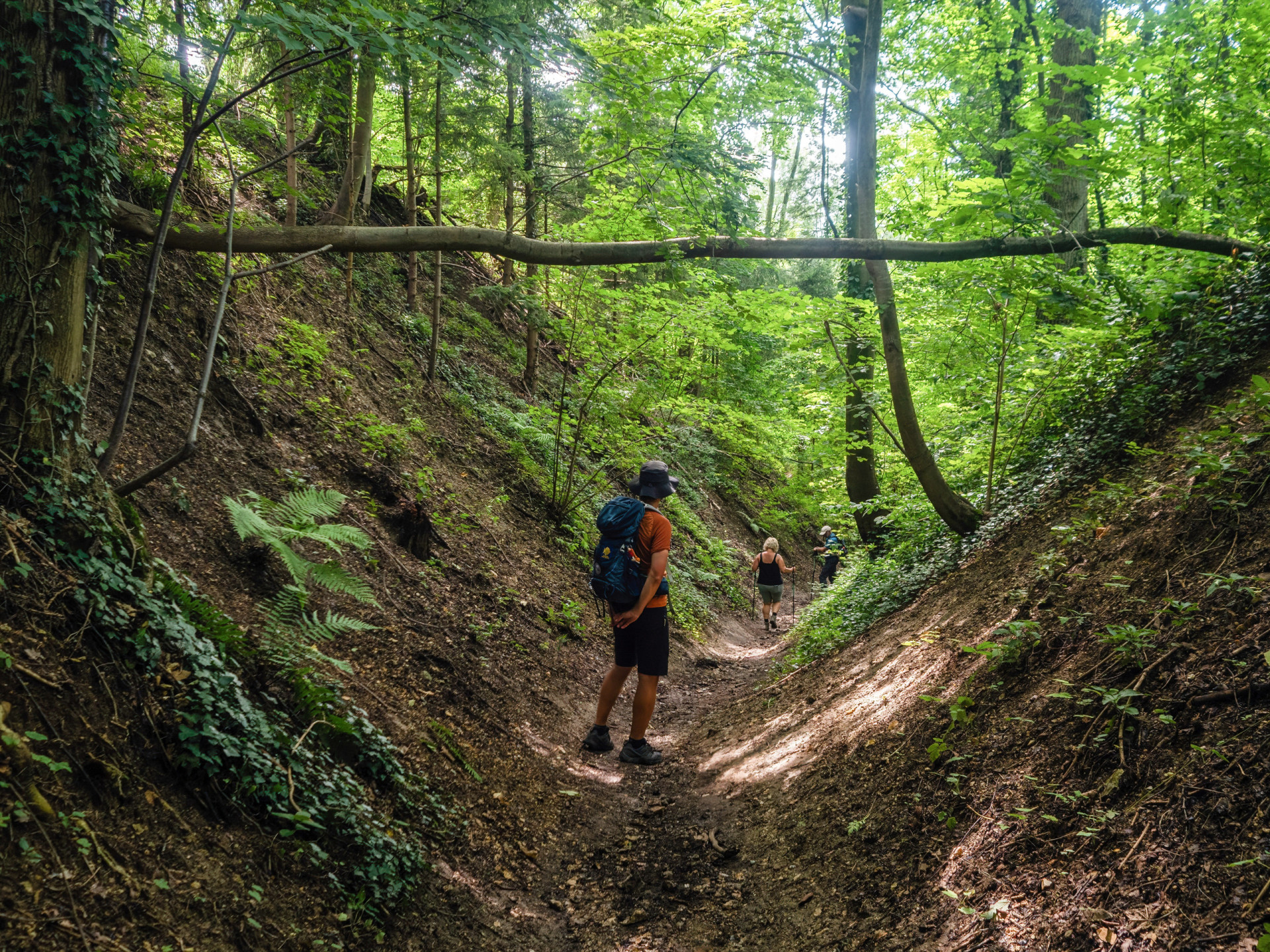 30 habits to improve happiness