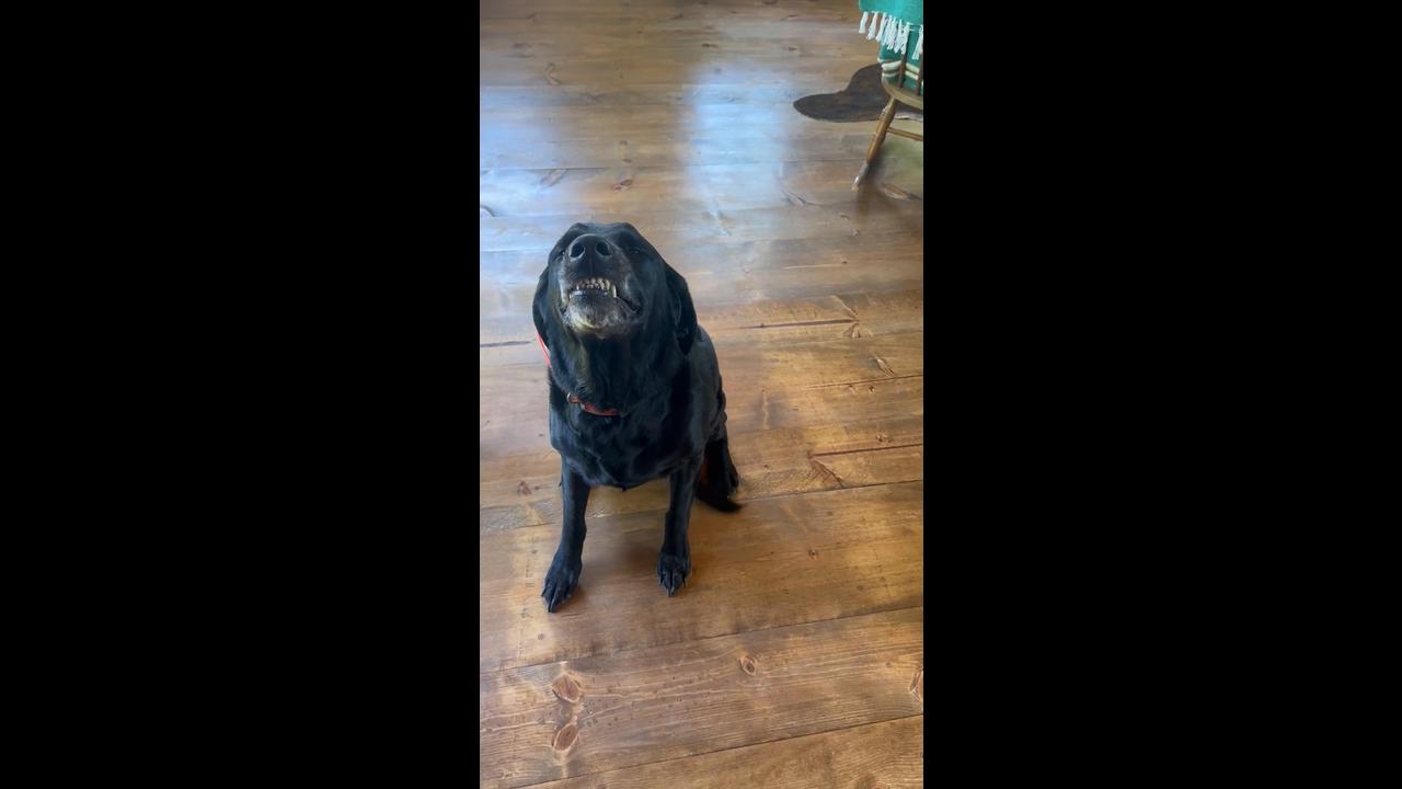 Birdy Feels a Little Guilty