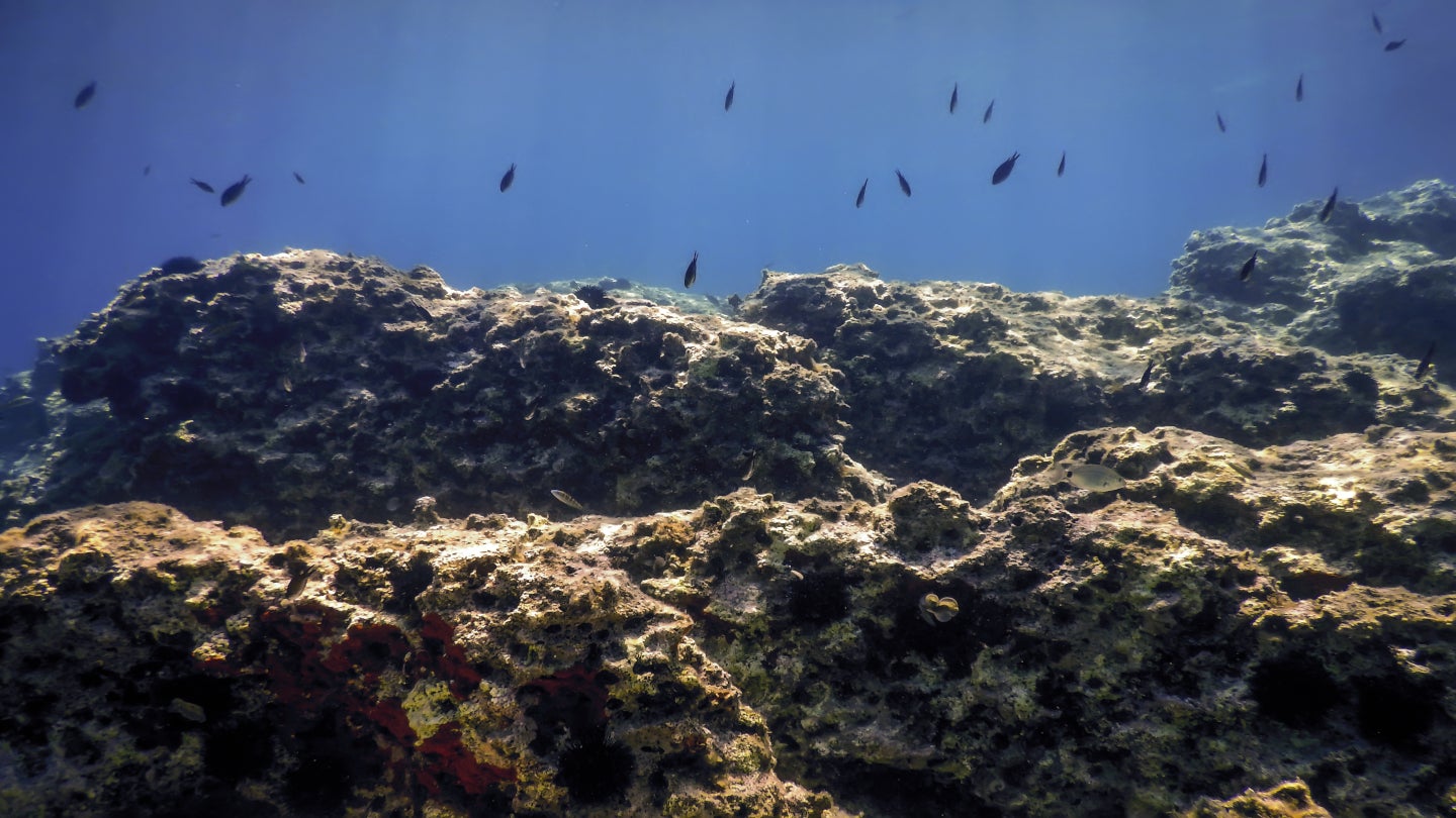 TMC USA applies for deep-sea mineral recovery under US seabed mining code