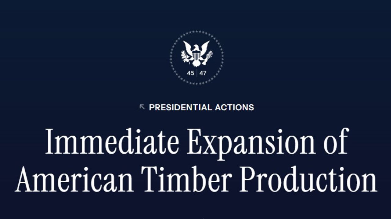 Thoughtful Home Gifts To Celebrate Mom This Mother S Day