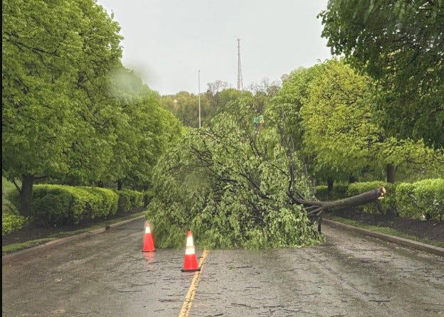 Major storm kills at least two, thousands still without power