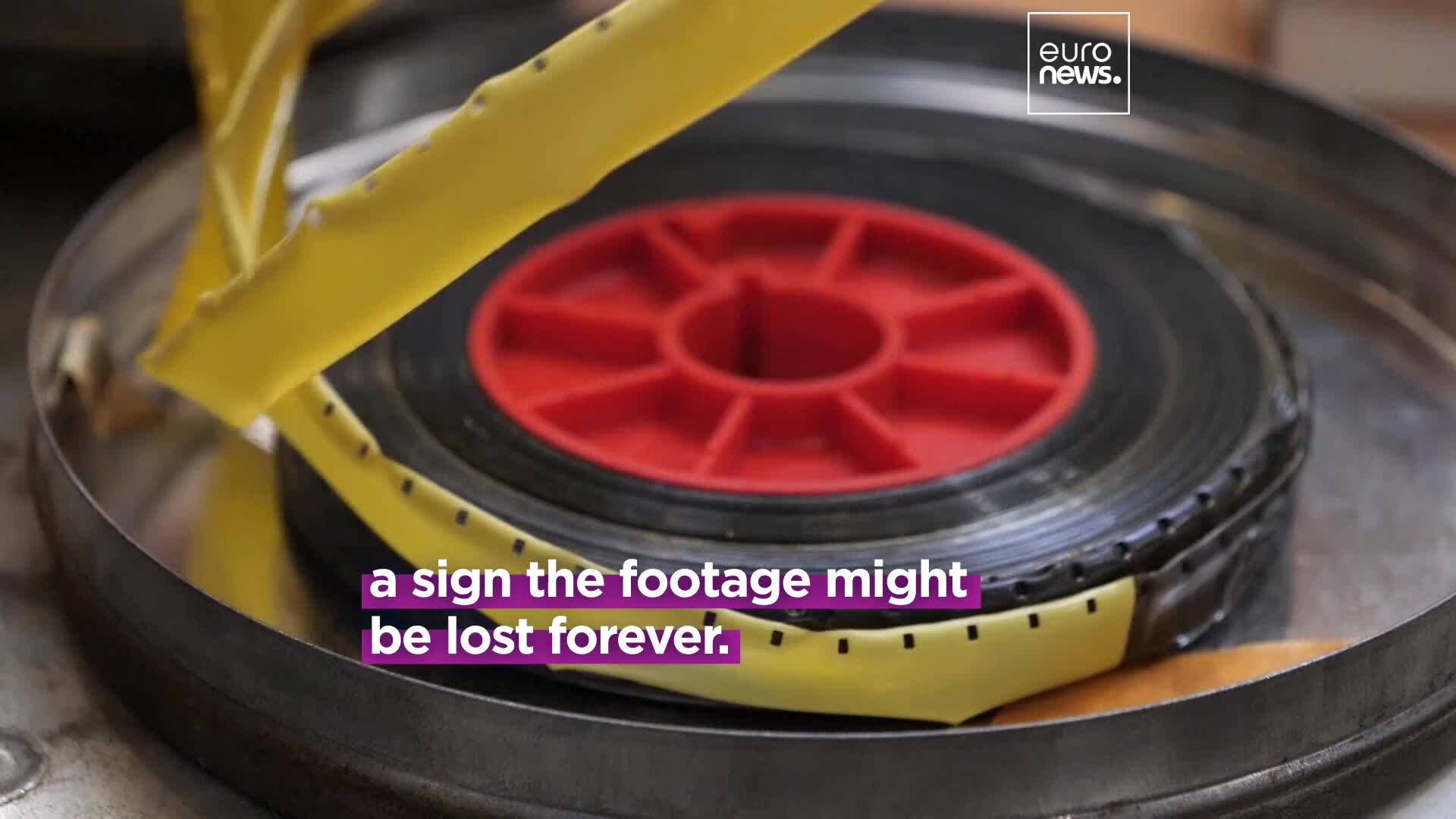 ZSL discovers forgotten wildlife film reels dating back 80 years: Can ...