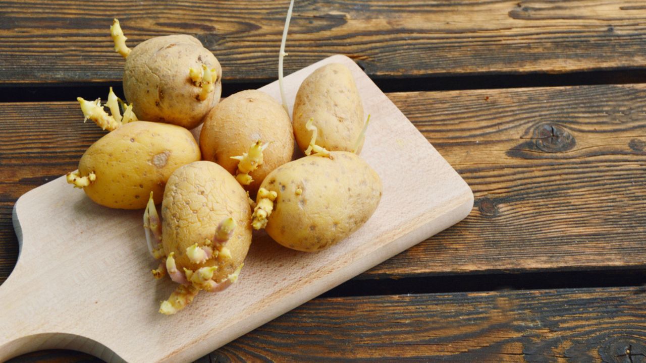 Sprouted Potatoes: Kitchen Danger or Delicious Save?